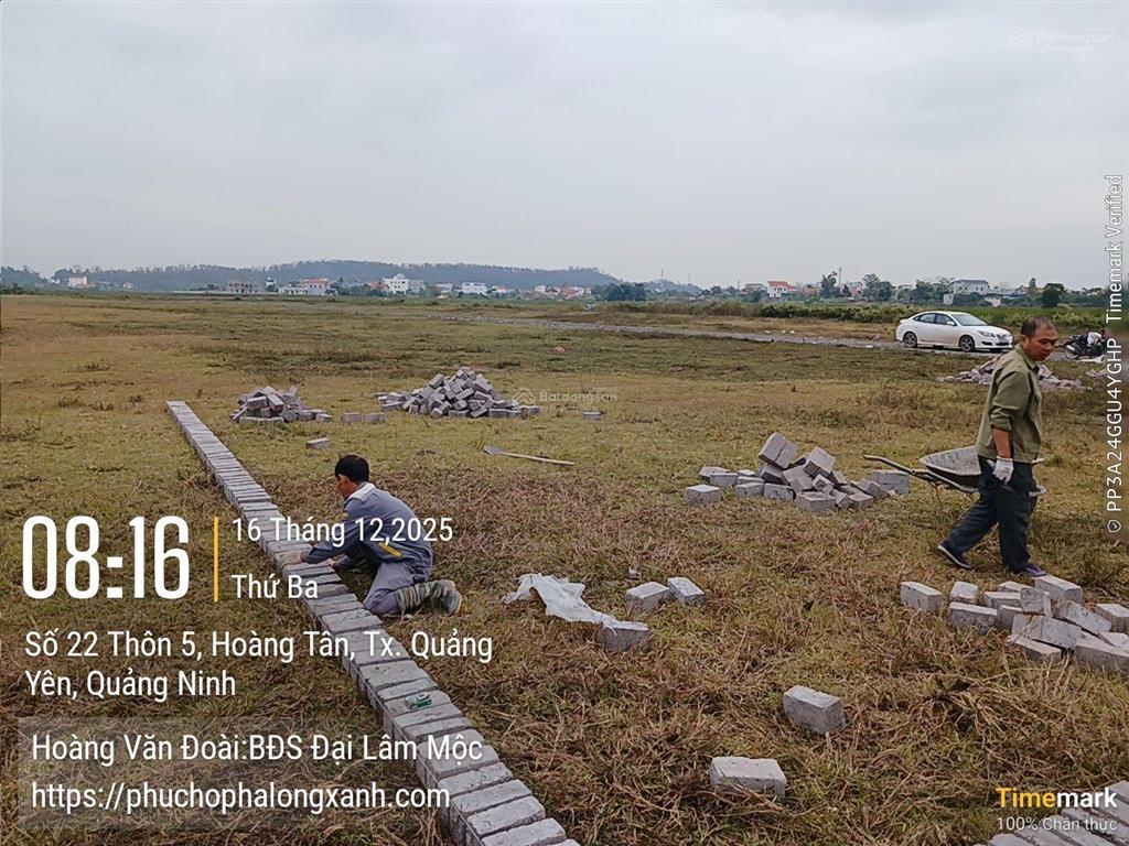 Bán đất đầm con rùa, tân thành, cành chẽ, xóm máng xã hoàng tân lõi hạ ...