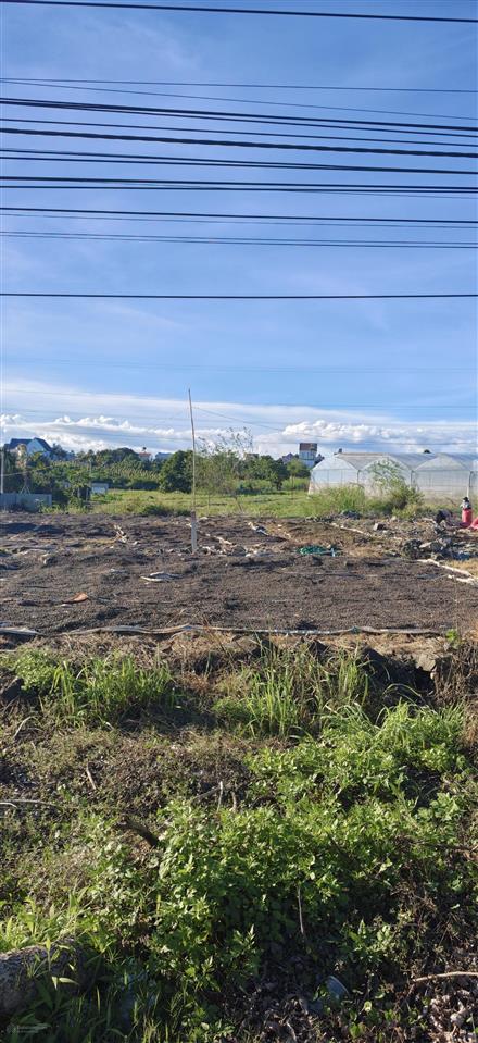 Bán đất mặt tiền quốc lộ 20, đức trọng, lâm đồng, khu dân cư, kinh ...