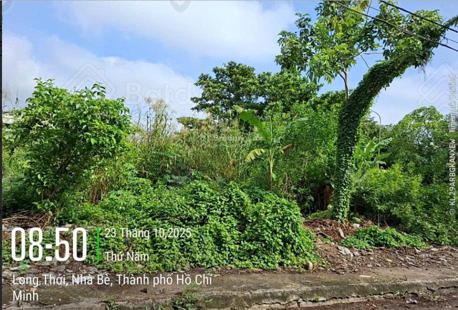 Cần bán đất thổ cư hẻm 12m 526 nguyễn văn tạo