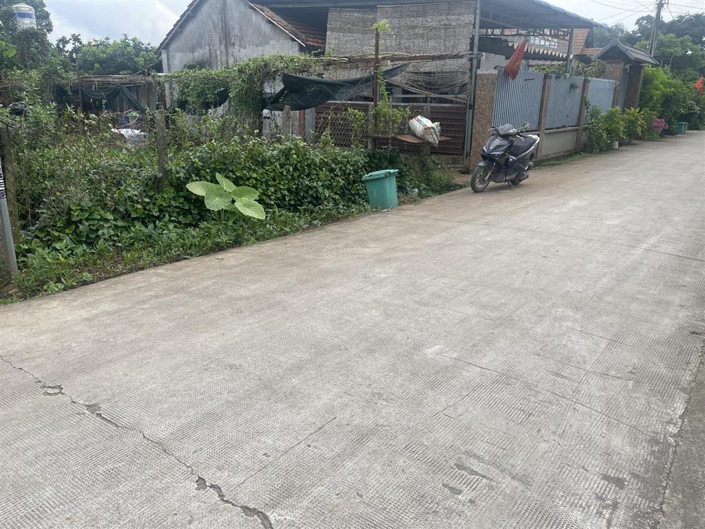 Đất ngay trường bình an sân bay quốc tế long thành