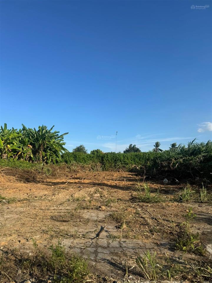 Cần bán gấp đất bàu mạc 21 song song nguyễn an ninh, cách biển nguyễn ...