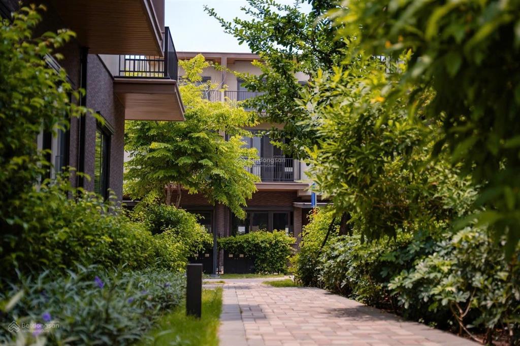 Elyse island homie9 đại lý chiến lược với giỏ hàng độc quyền đẹp & giá ...