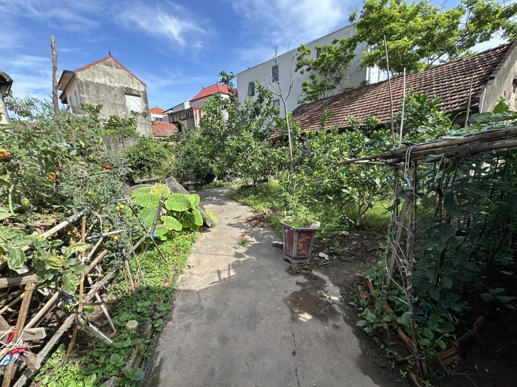 Bán đất long hưng văn giang gần nhiều dự án lớn như vin2,3 đại học mở ...