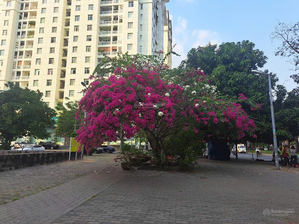 Cần bán nhà phố kdc himlam 6a, 5x20 3 lầu giá 17 tỷ ms viêm 0938 971