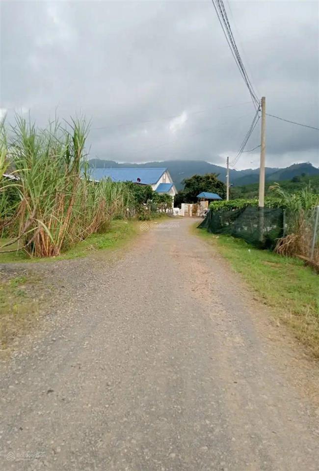 Lô đất dành cho ai tài chính thấp tại hoà ninh, di linh