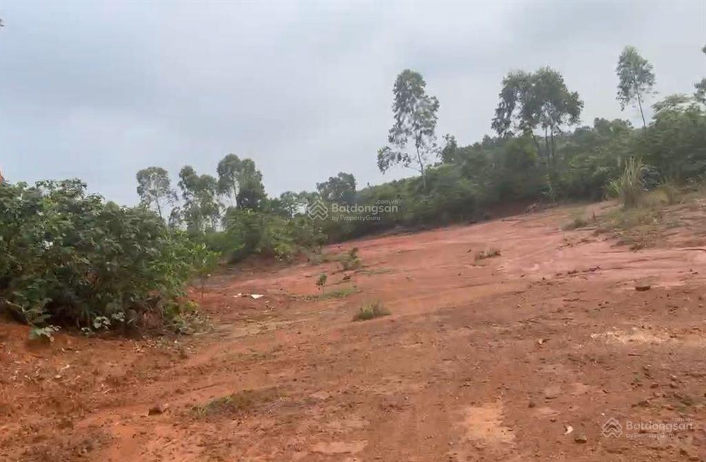 Bán 2,7 ha đất làm kho xưởng tại thị xã phú thọ. gần ic9. mặt bằng đẹp ...