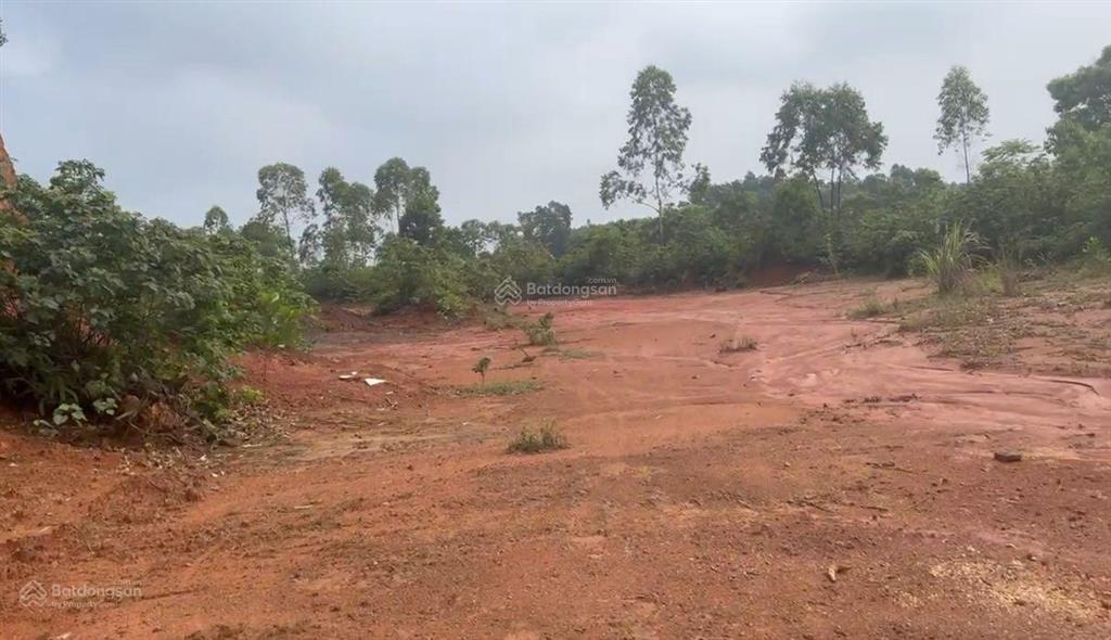 Bán 2,7 ha đất làm kho xưởng tại thị xã phú thọ. gần ic9. mặt bằng đẹp ...