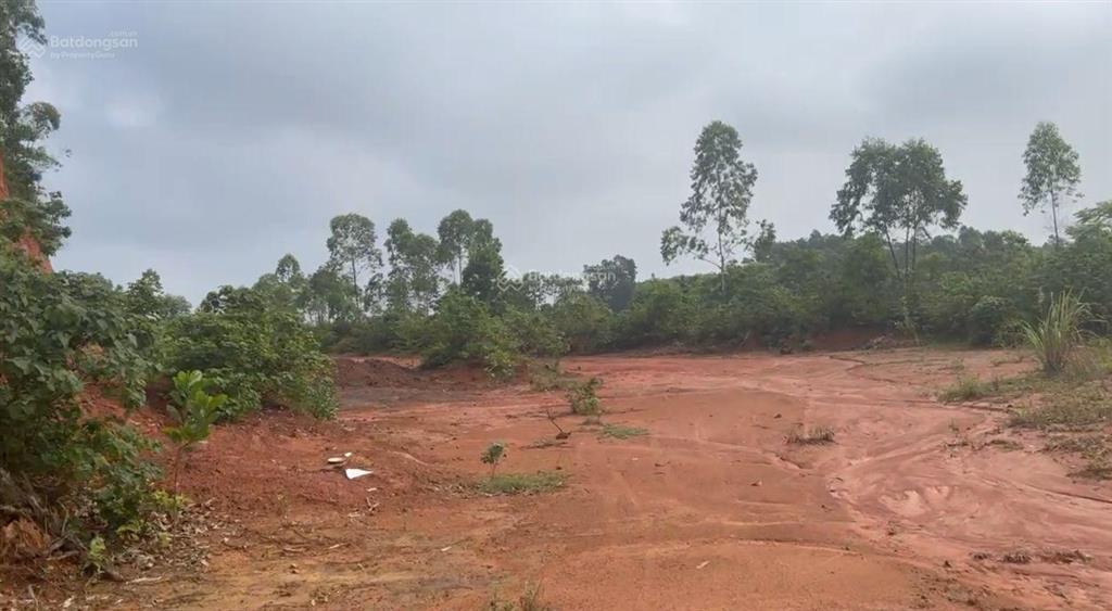 Bán 2,7 ha đất làm kho xưởng tại thị xã phú thọ. gần ic9. mặt bằng đẹp ...